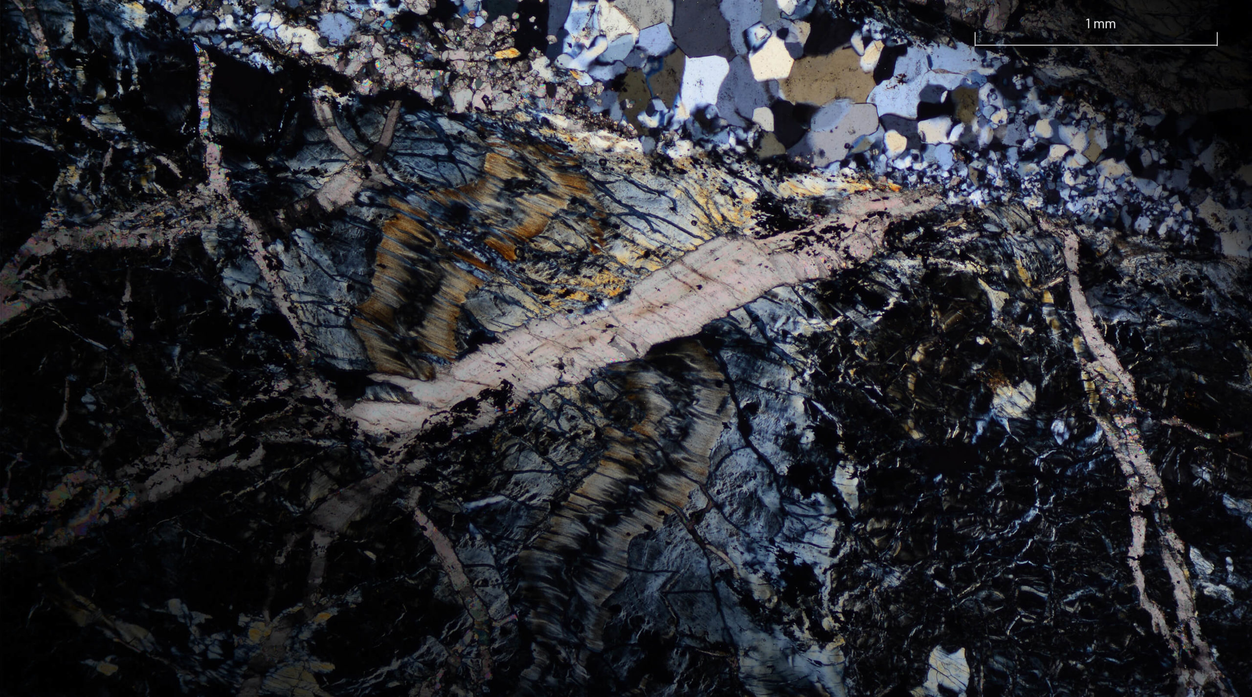 MaRS Purchases Carbon Removal Credits From Vancouver Cleantech ...